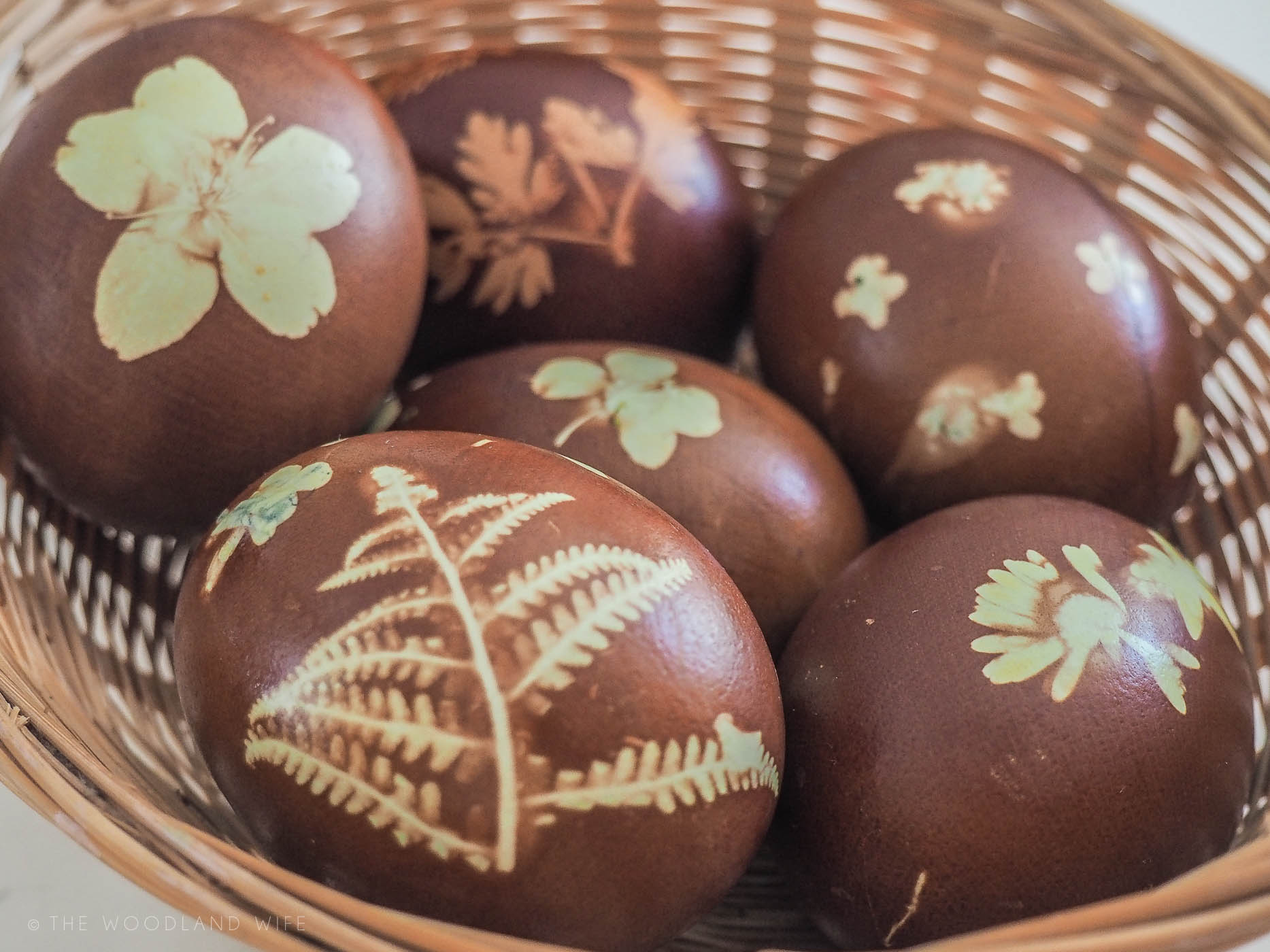 Easter Crafting Naturally Dyed Eggs With Onion Skins The Woodland Wife Easter Crafting Naturally Dyed Eggs With Onion Skins The Woodland Wife